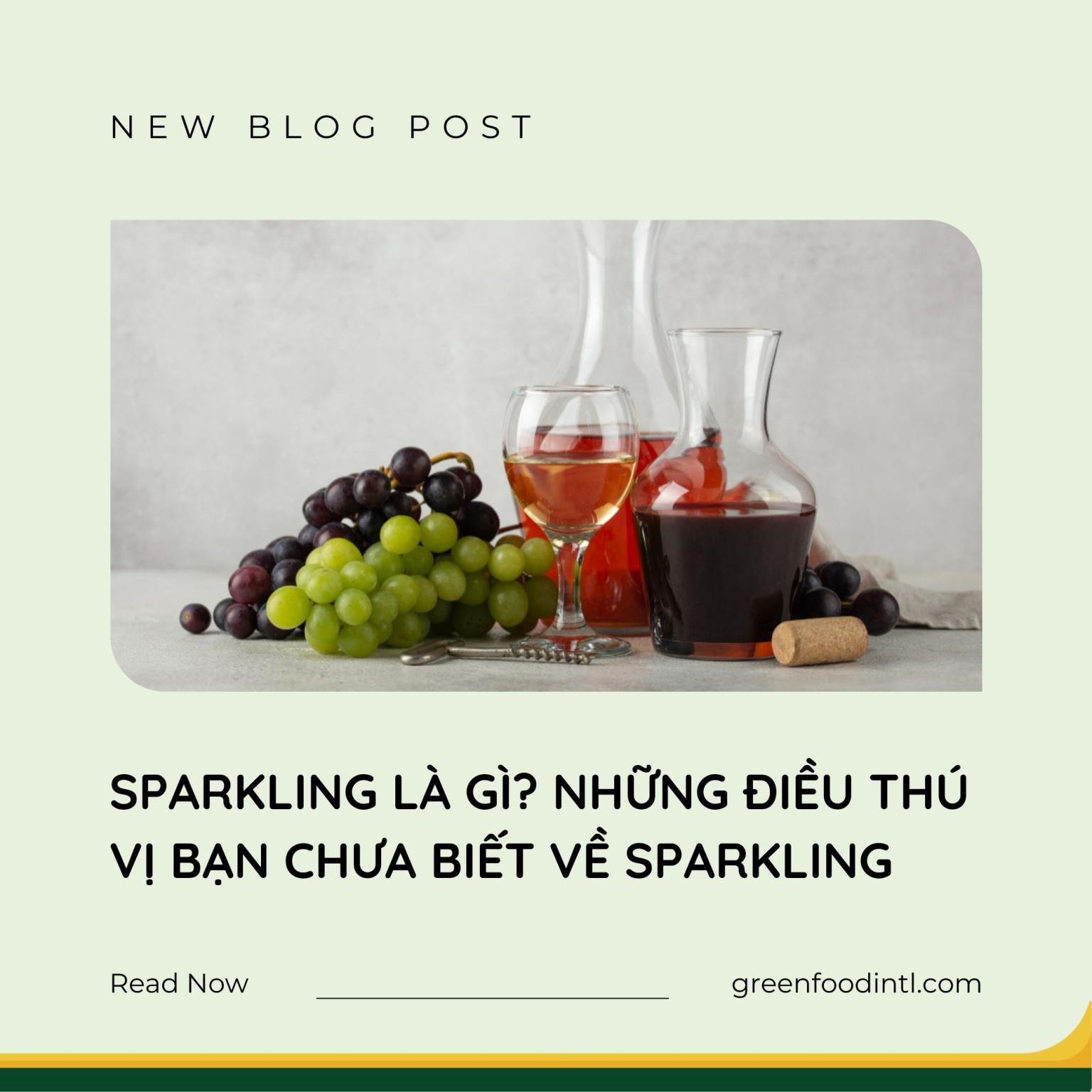 SPARKLING LÀ GÌ? NHỮNG ĐIỀU THÚ VỊ BẠN CHƯA BIẾT VỀ SPARKLING – Natural ...